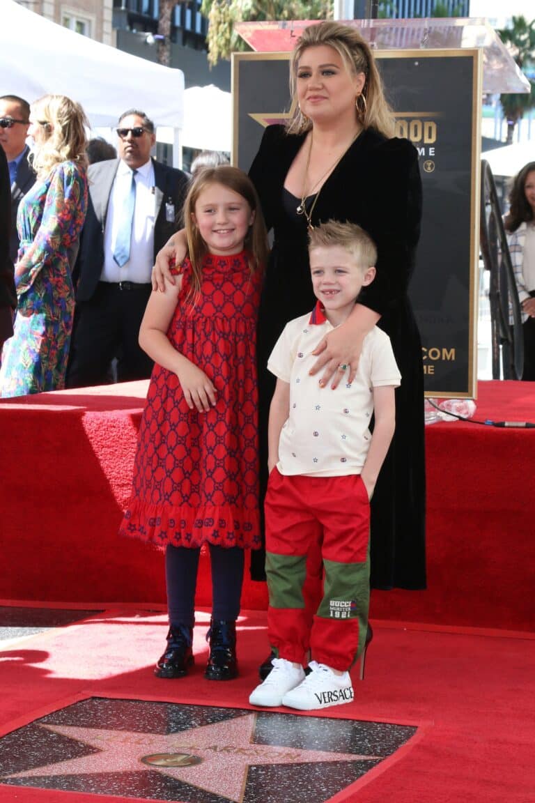 Why Kelly Clarkson's Son Asked If She ‘knew His Dad’