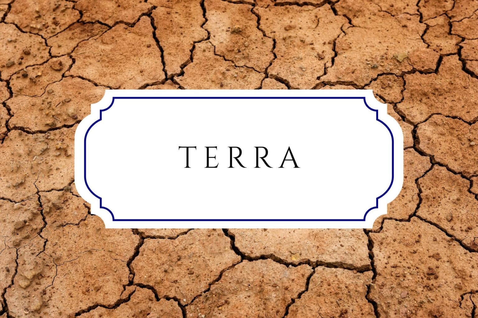 60+ Earthy Girl Names Honoring Earth Day