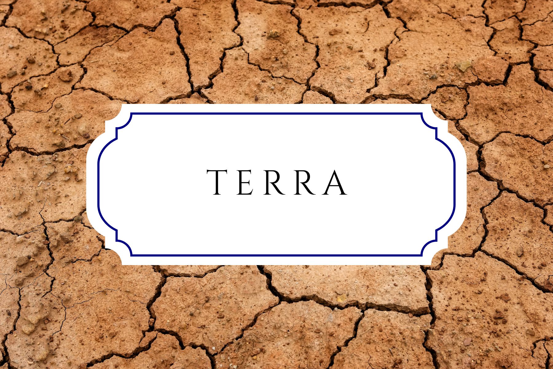 60+ Earthy Girl Names Honoring Earth Day