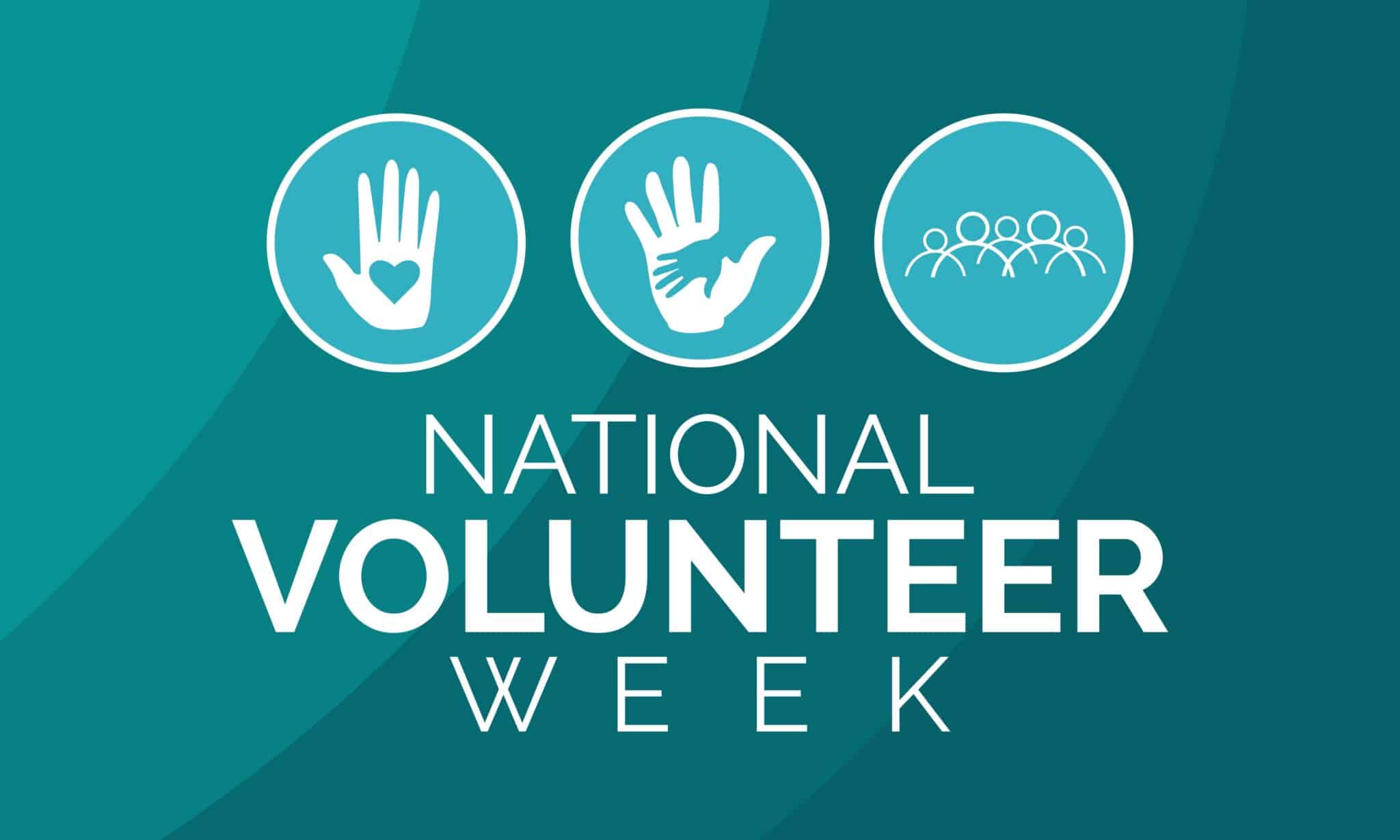 Best Ways To Volunteer During National Volunteer Week 2025