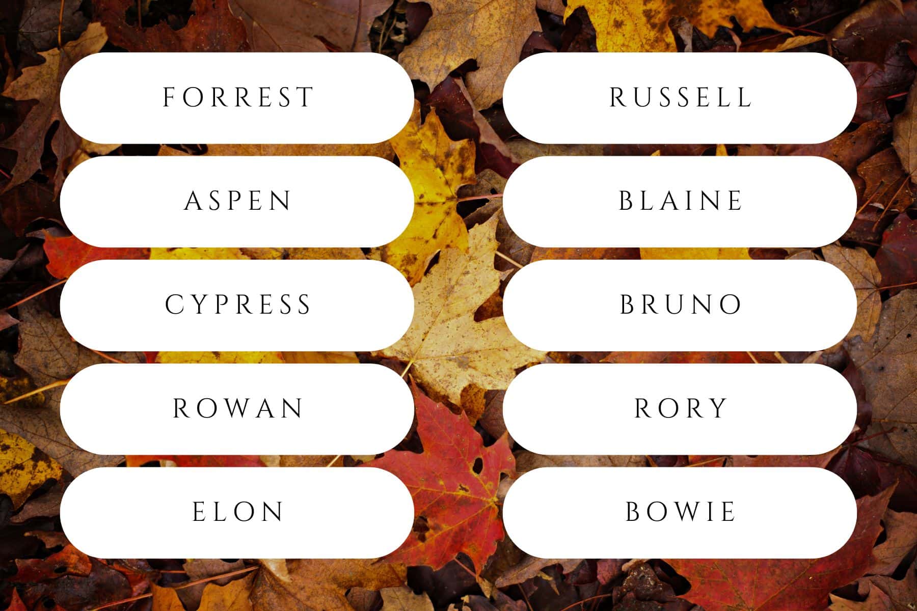 The Best Fall Names For Boys That Celebrate Cozy Season Vibes